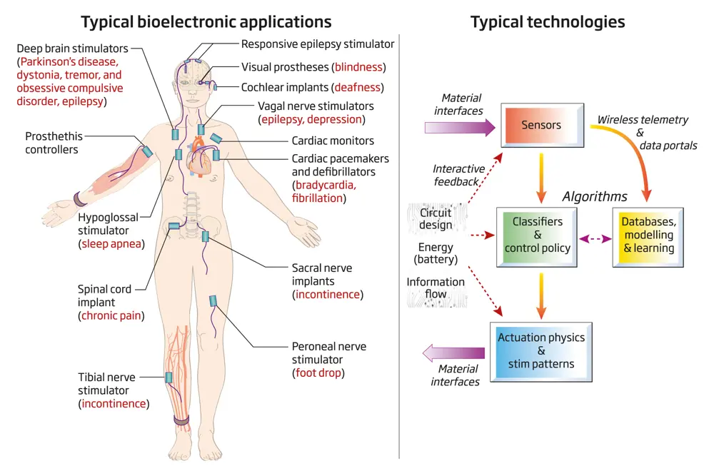 Bioelectronic devices to treat neurological disorders | Ingenia