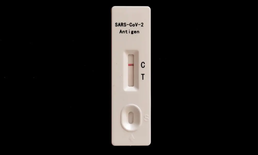 How do lateral flow tests work?