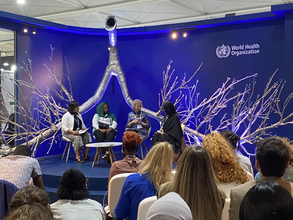 A young engineer’s view on what COP27 got right – and what must change